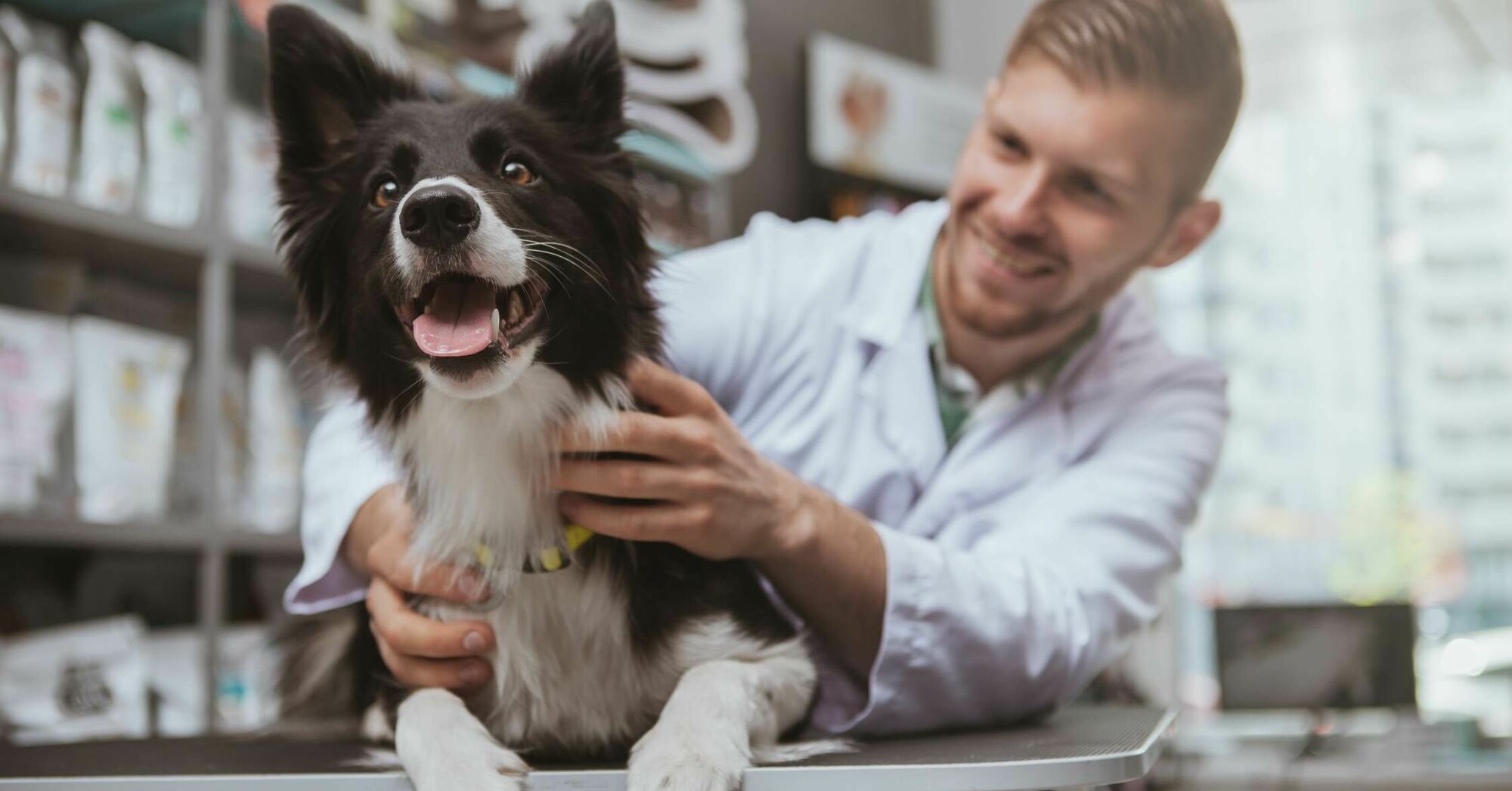 Berufe mit Hunden im Portrait | Rinti Berufe mit Hunden im Portrait | Rinti