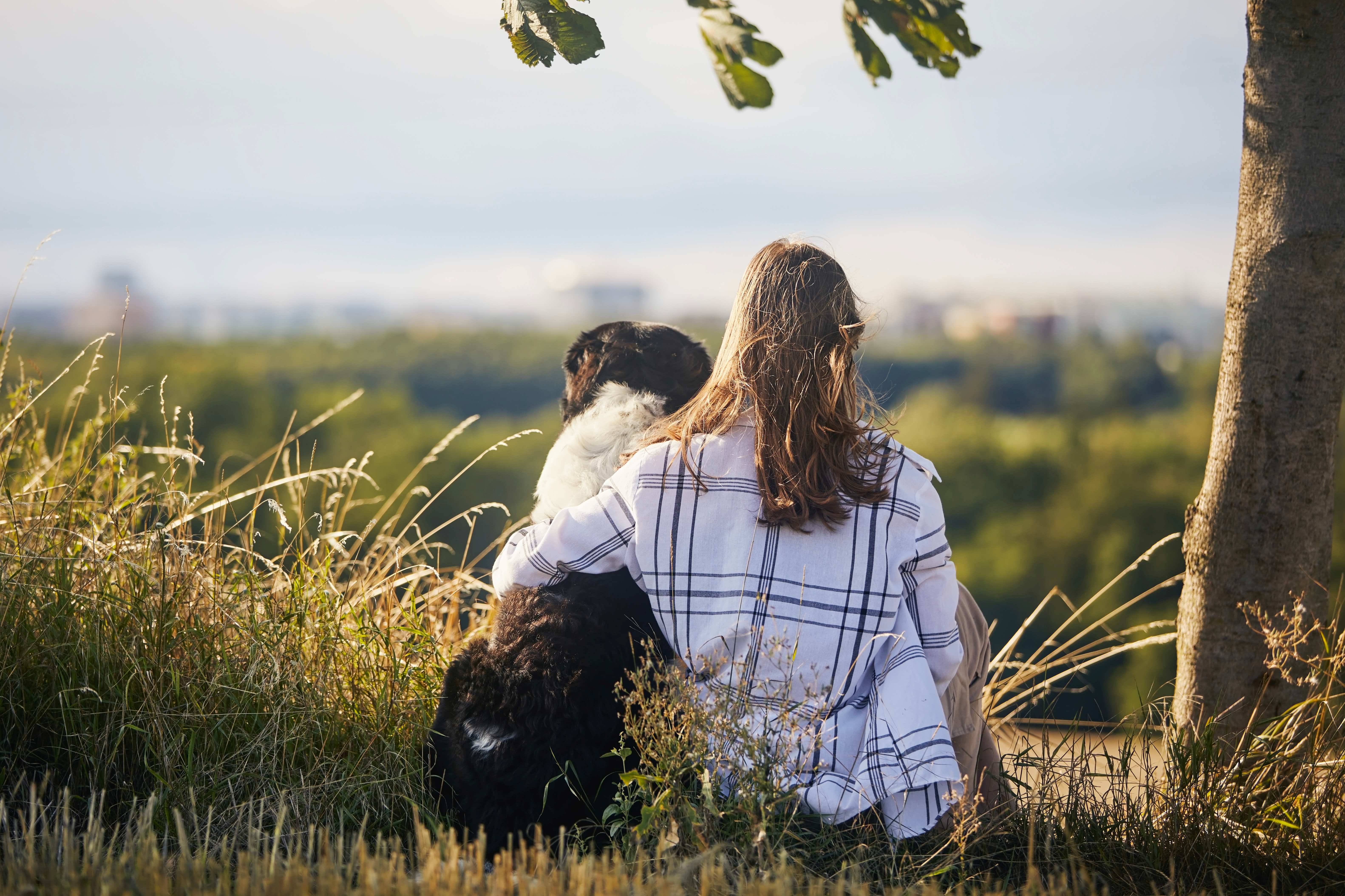 Vertrauen zum Hund aufbauen | RINTI